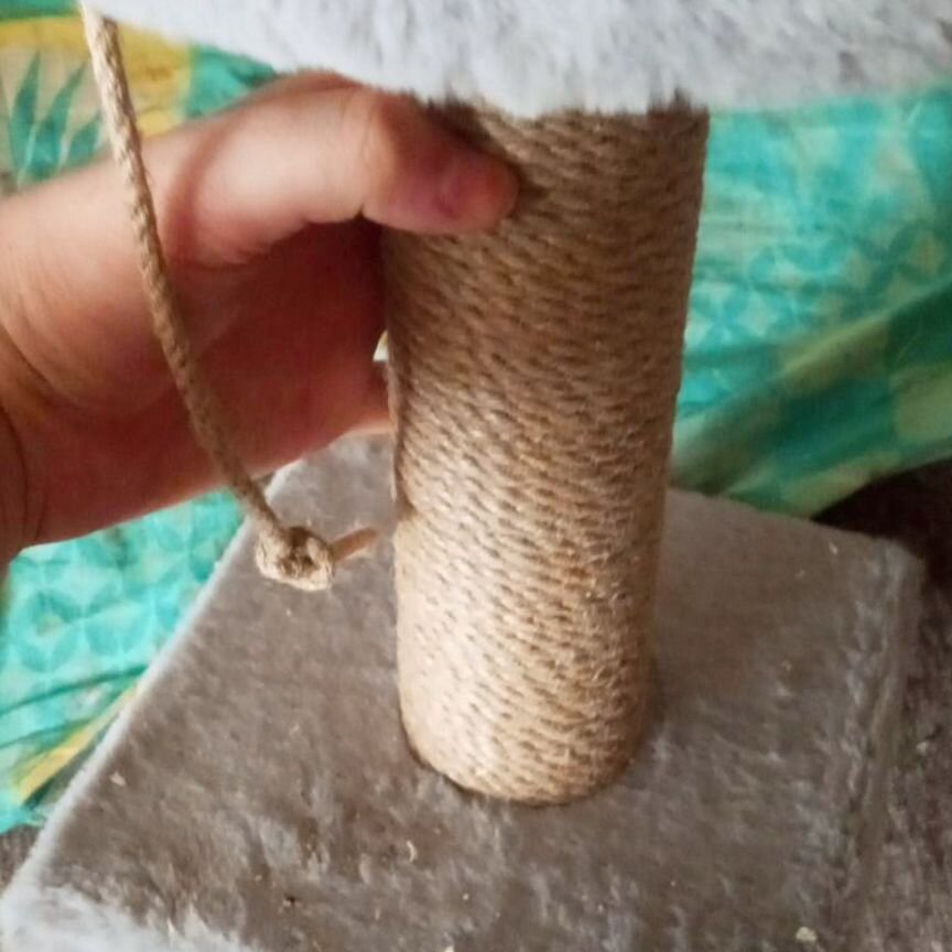 Когтеточка для котят