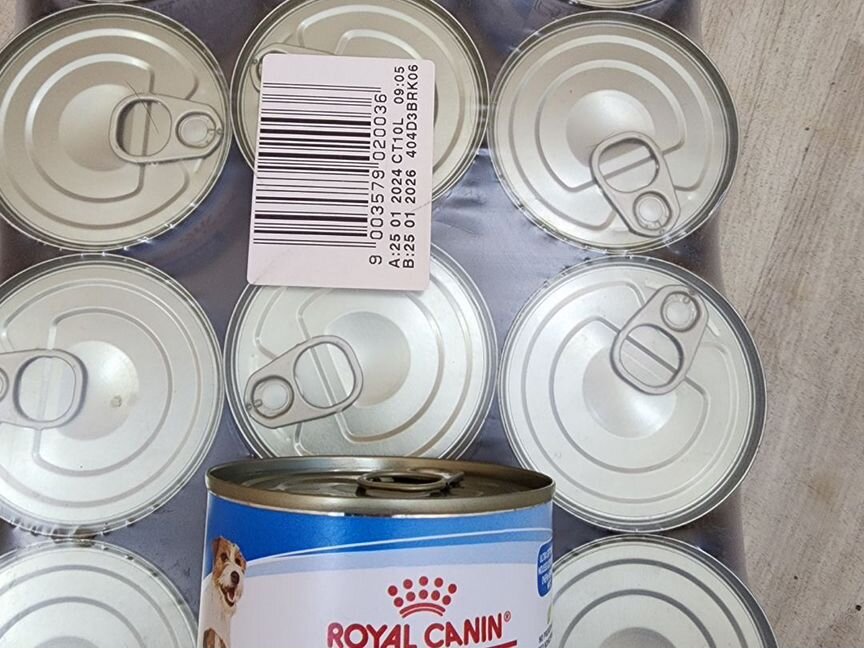 Royal canin мусс