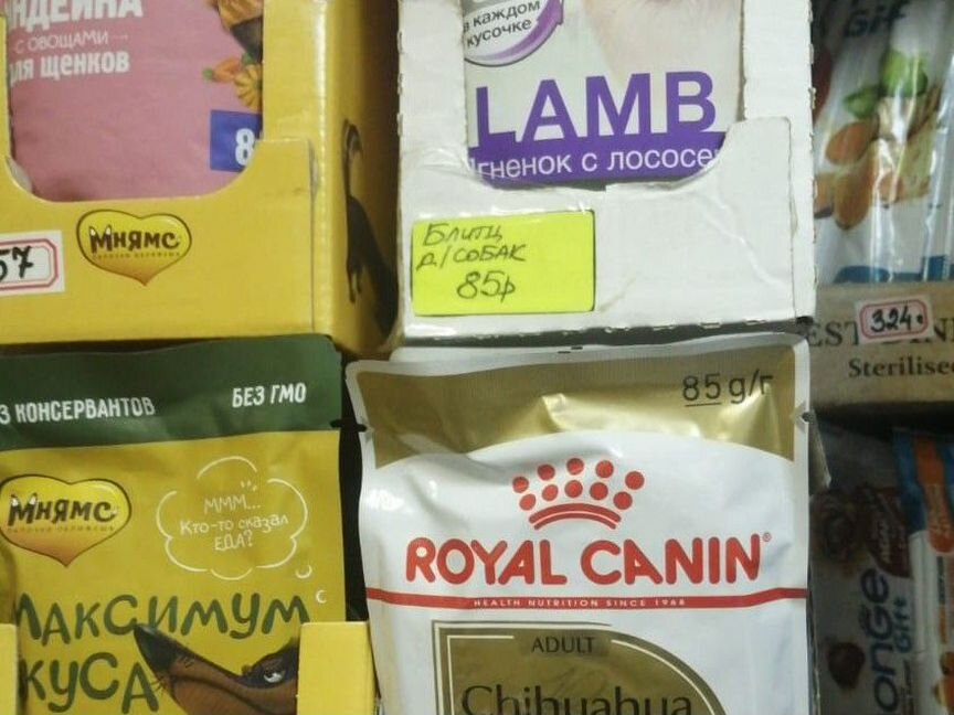 Royal Canin Chihuahua корм для чихуахуа влажный