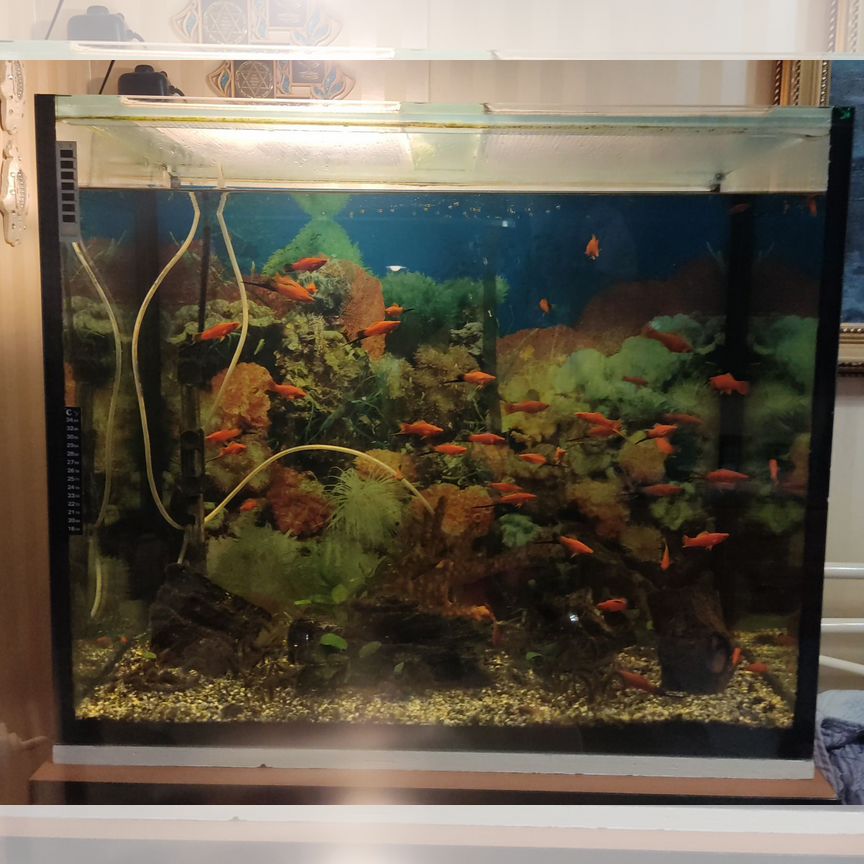 Аквариум с тумбой 200л