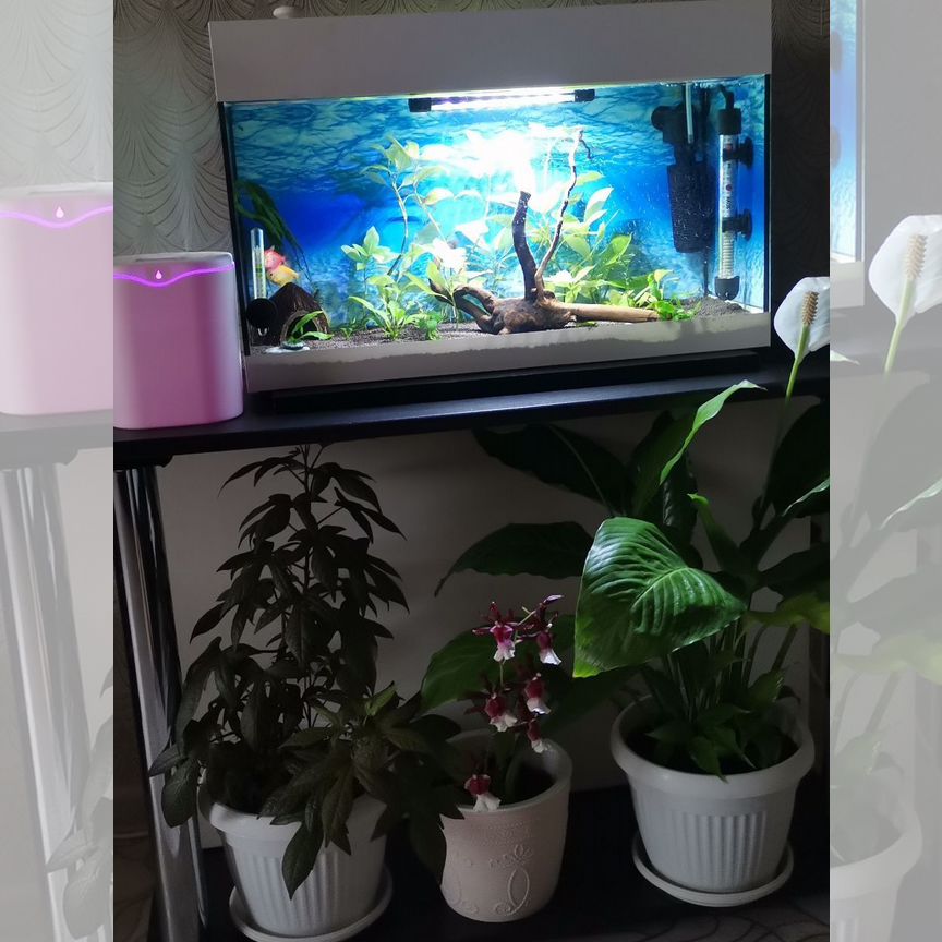 Аквариумная вода