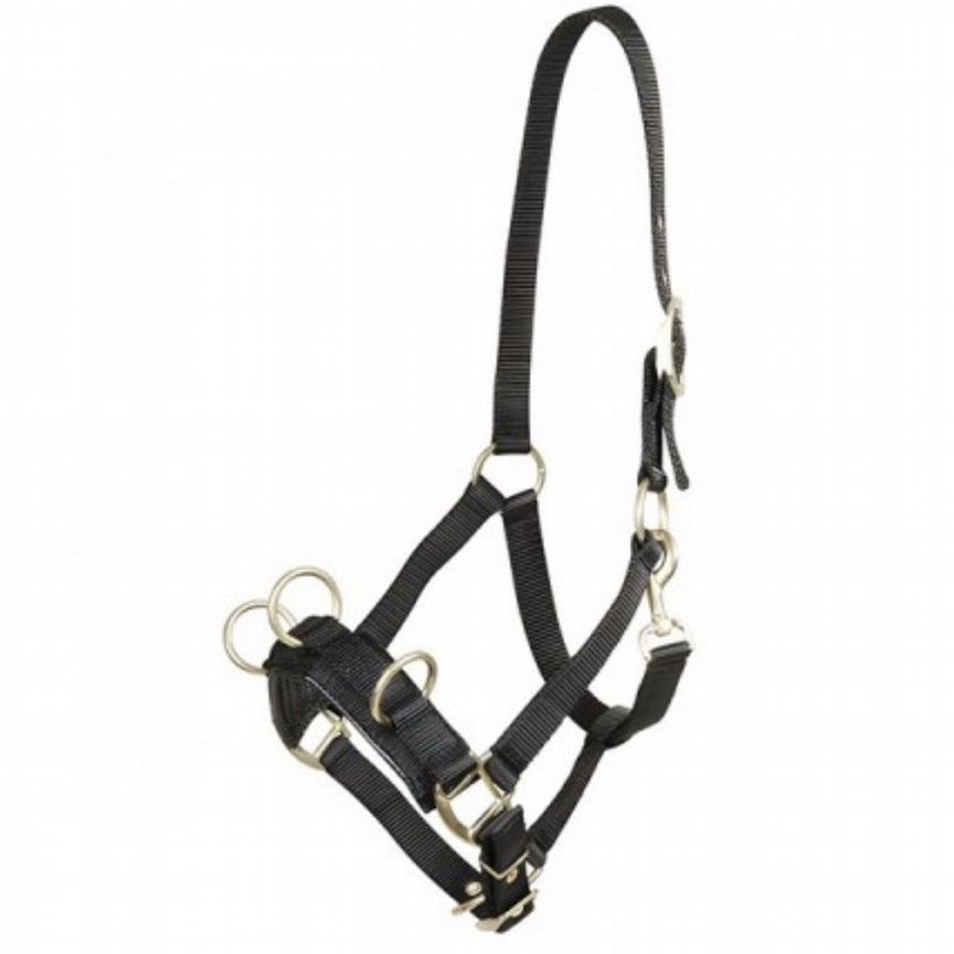 Кавессон для лошади XFull