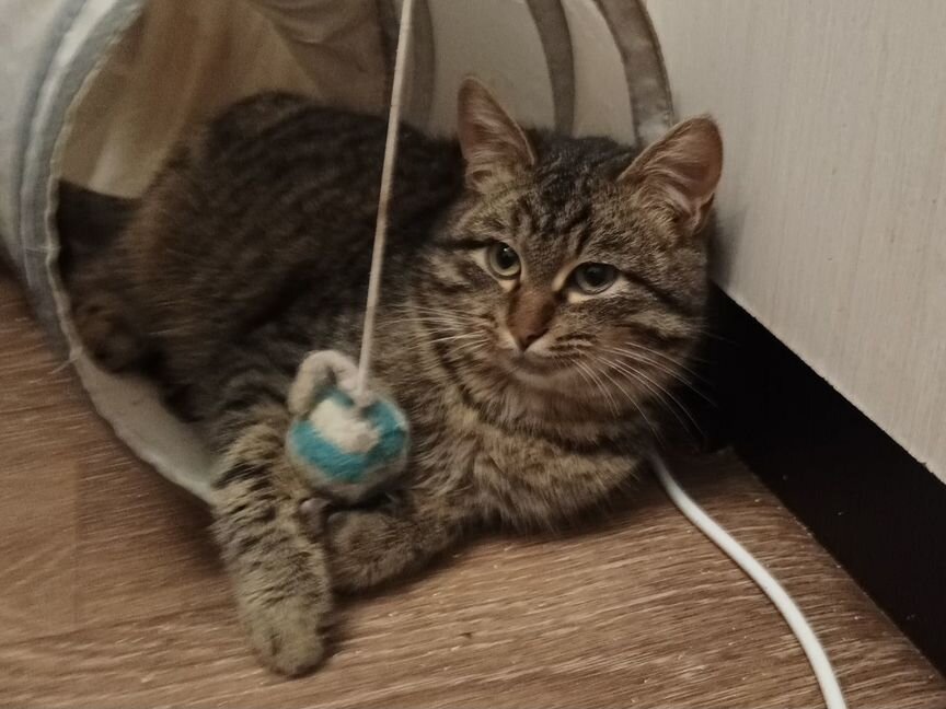 Пусик 6 месяцев