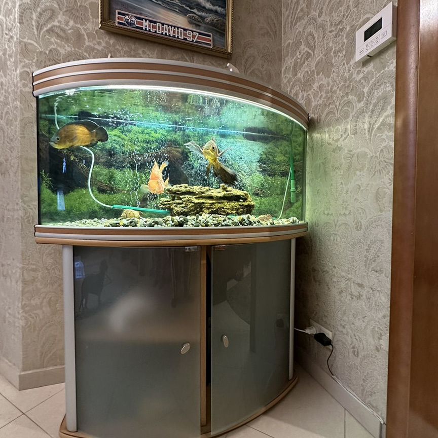 Аквариум Aquatlantis 350л с тумбой