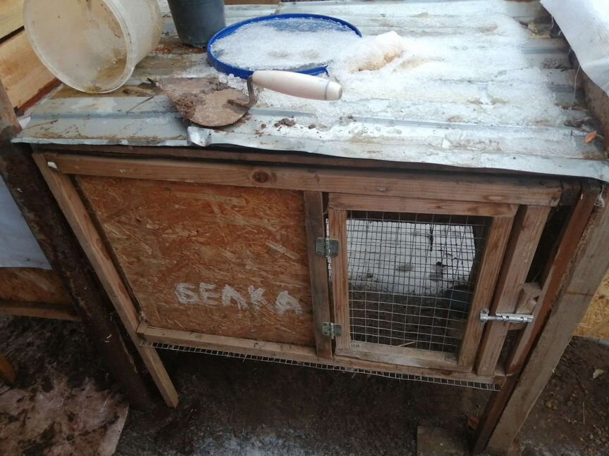 Клетки для кроликов