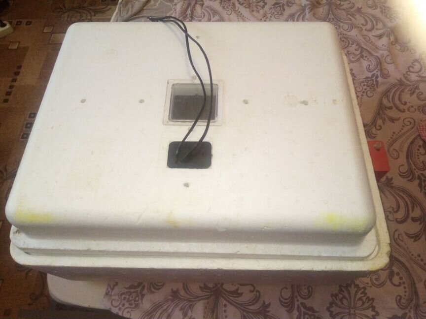 Инкубатор для яиц бу