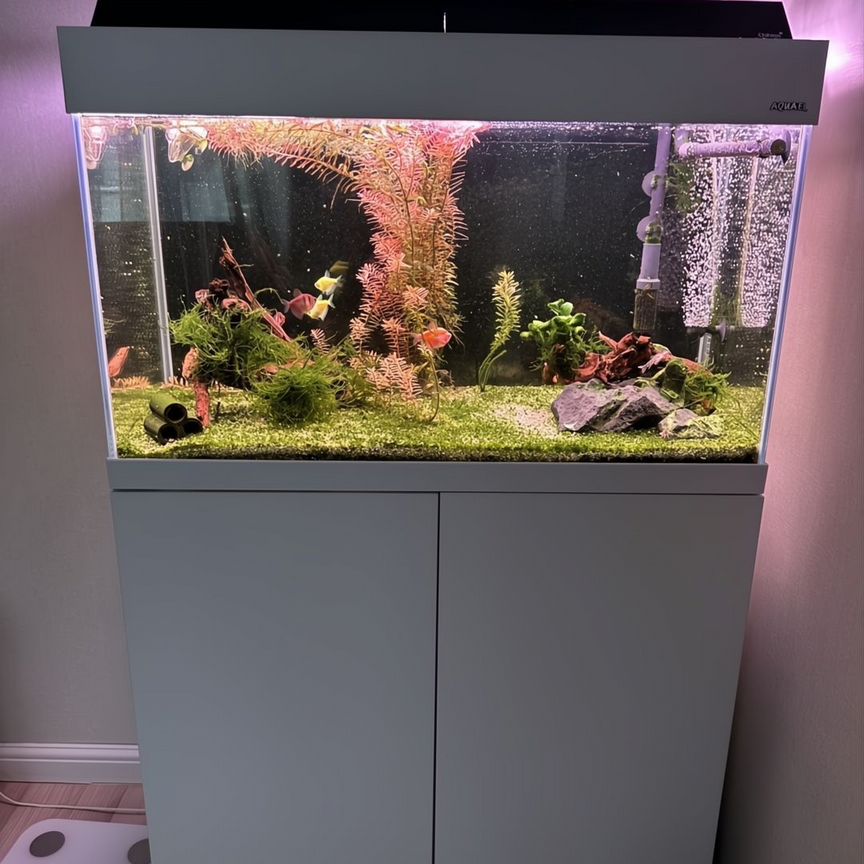 Аквариум с тумбой Aquael Opti Set 125 белый