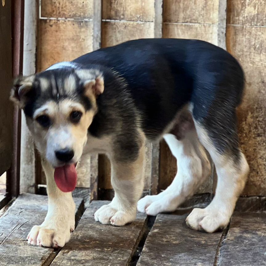 Серьезный парень