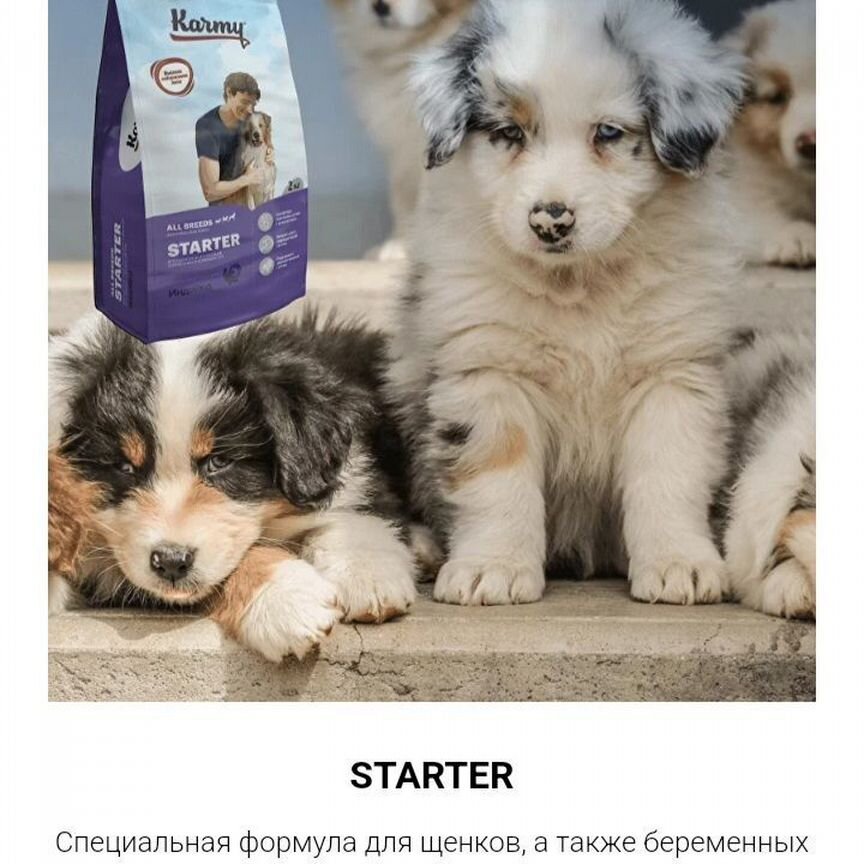 Корм для собак Карми