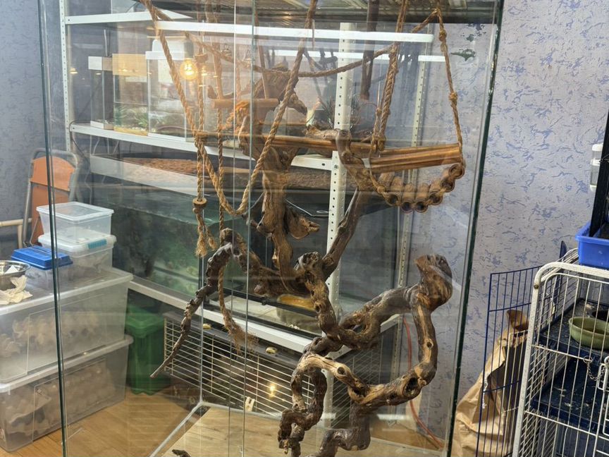 Террариум 100*61*51