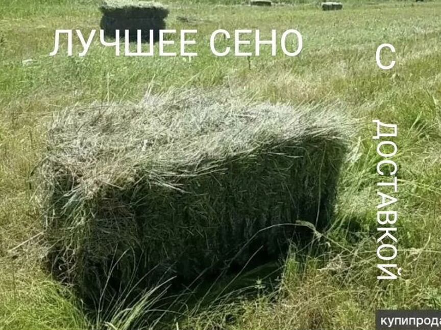 Сено в тюках с Доставкой