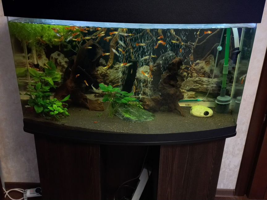 Аквариумы оргстекло 200 и 60л с оборудованием