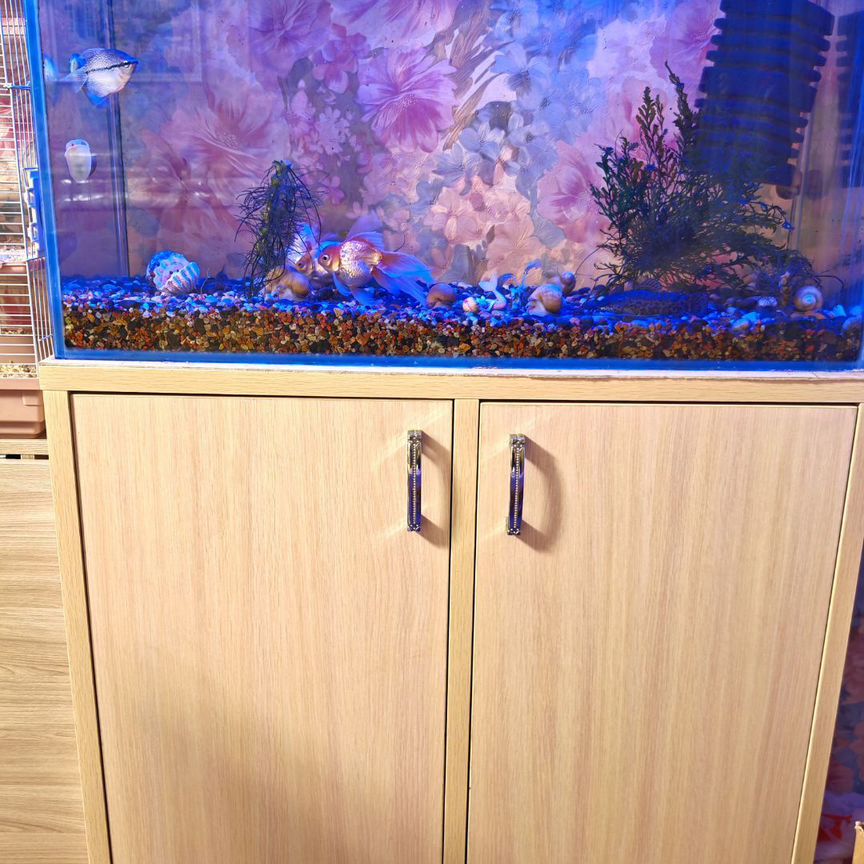 Продам шикарный аквариум с тумбой 180 литров