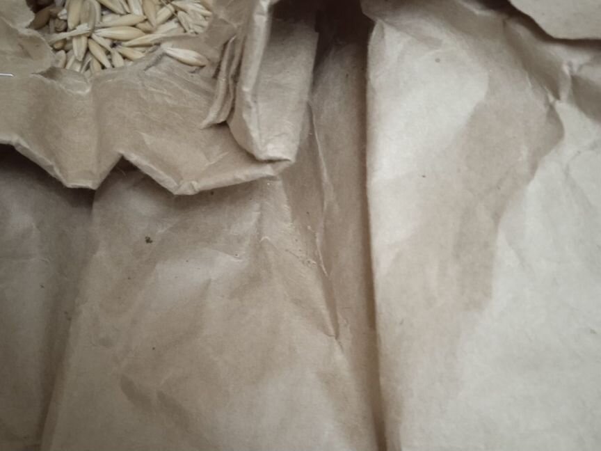 Овёс неочищенный