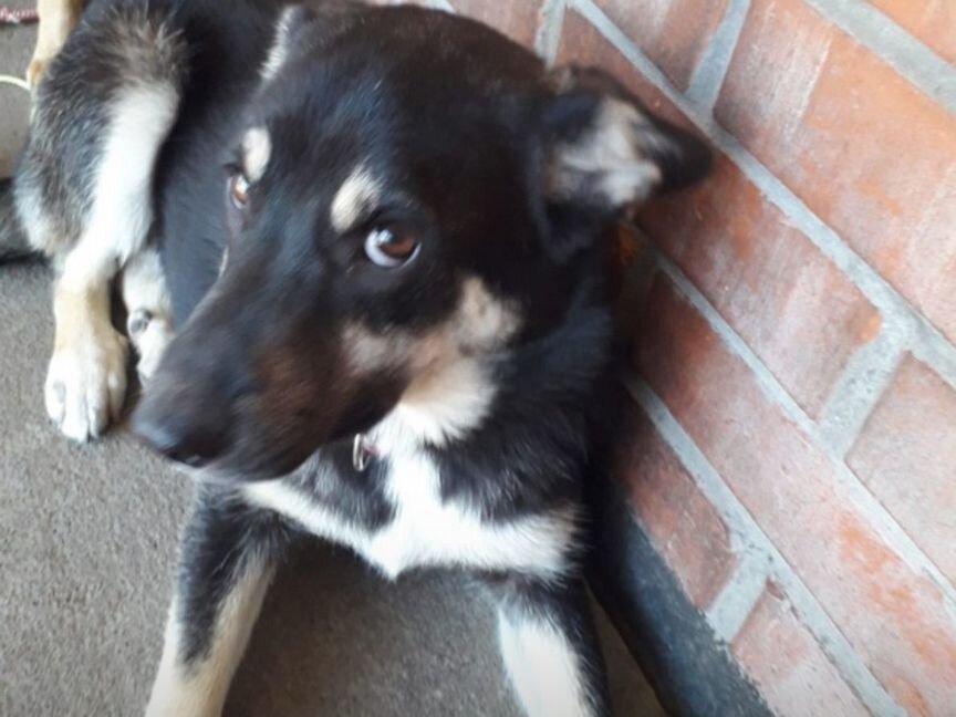 Полюби меня такой какая я есть