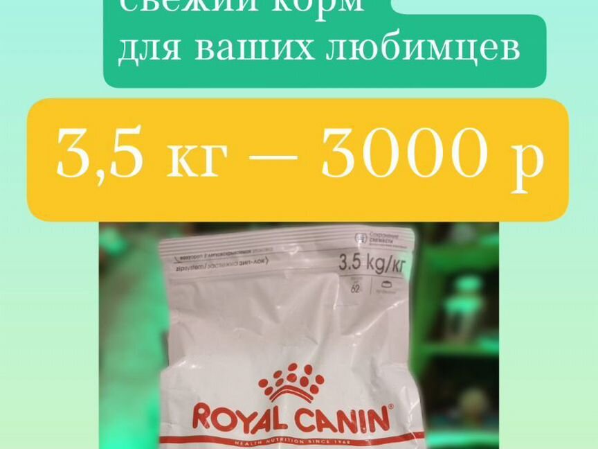 Корм сухой для кошек Royal Canin
