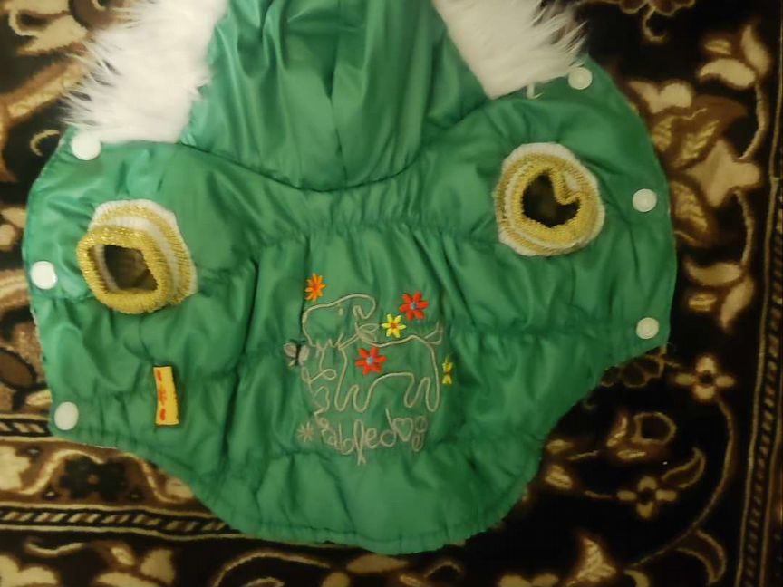 Вещи для маленьких собак