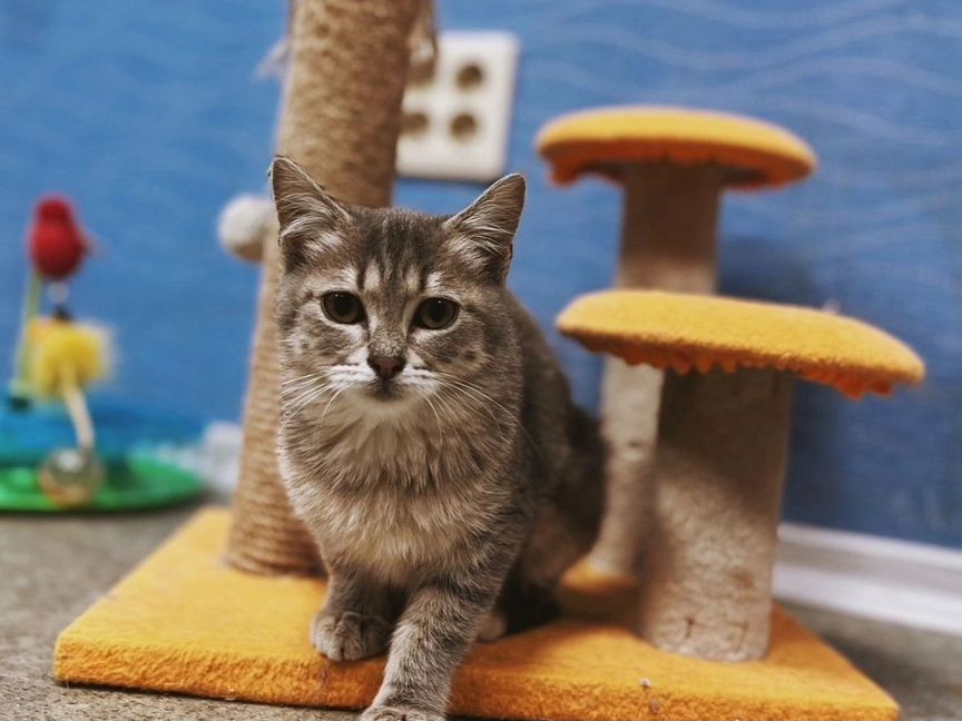 Марфушенька - Душенька