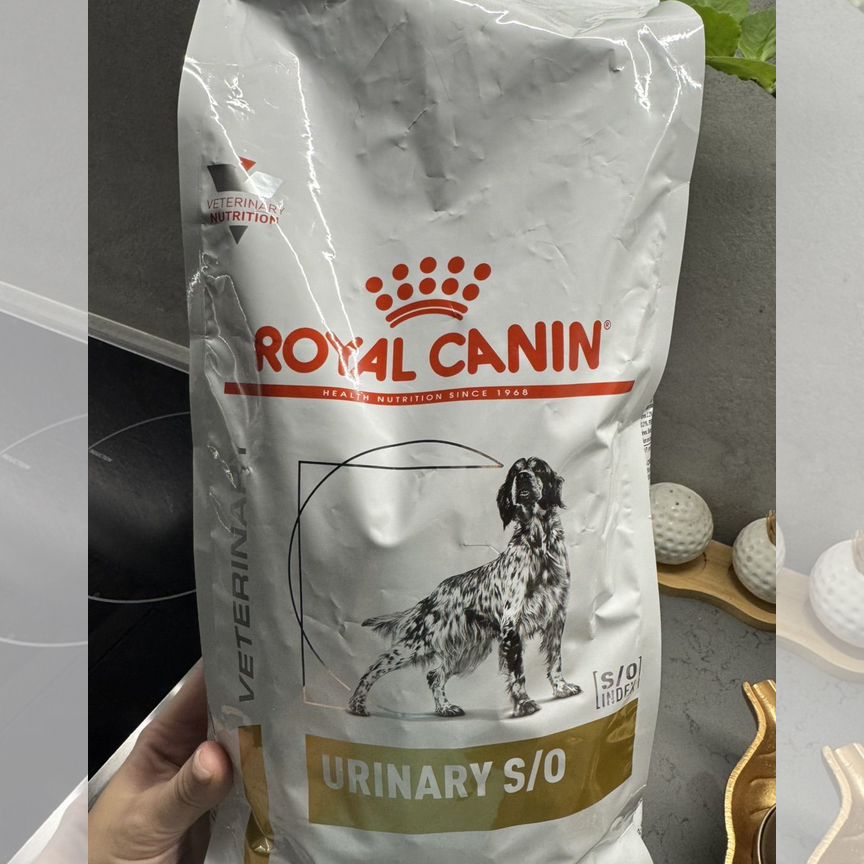Корм для собак royal canin urinary