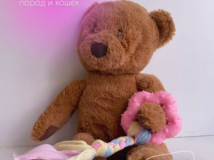 Игрушки для животных