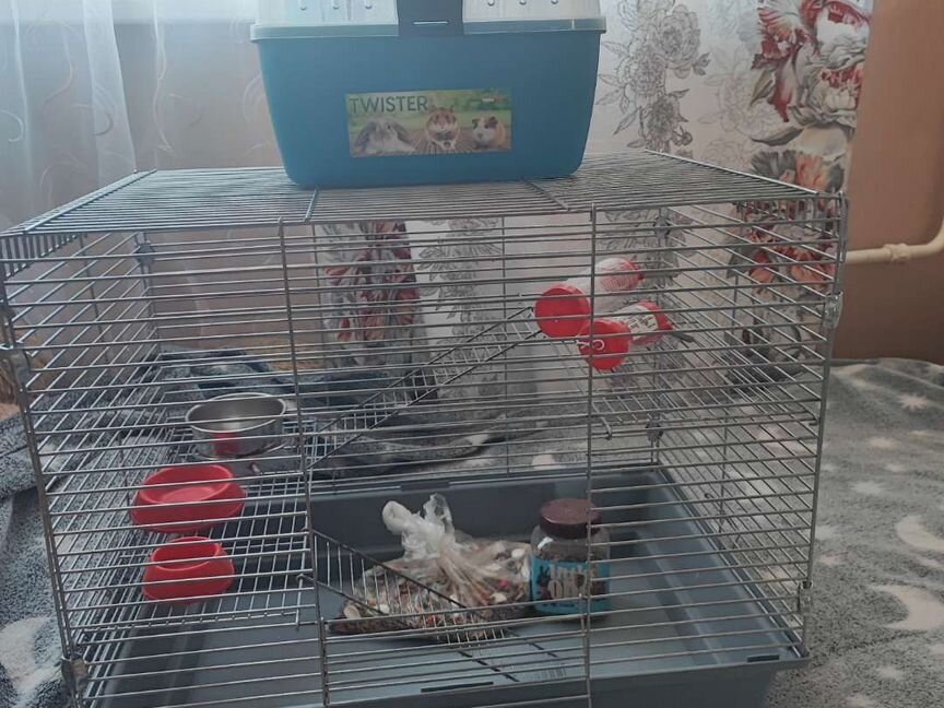 Клетка для грызунов