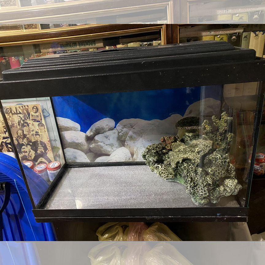 Аквариум бу