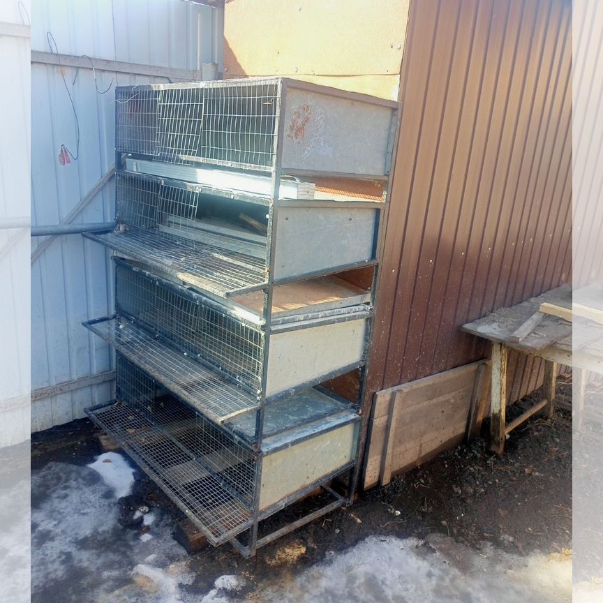 Клетки для перепелов бу