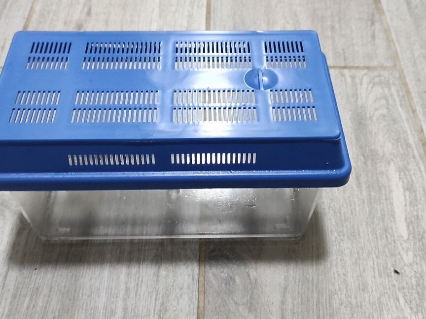 Террариум - переноска