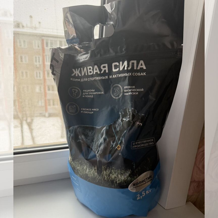 Корм для собак