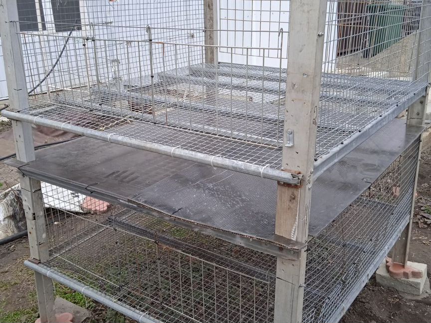 Клетка для птиц бройлеров