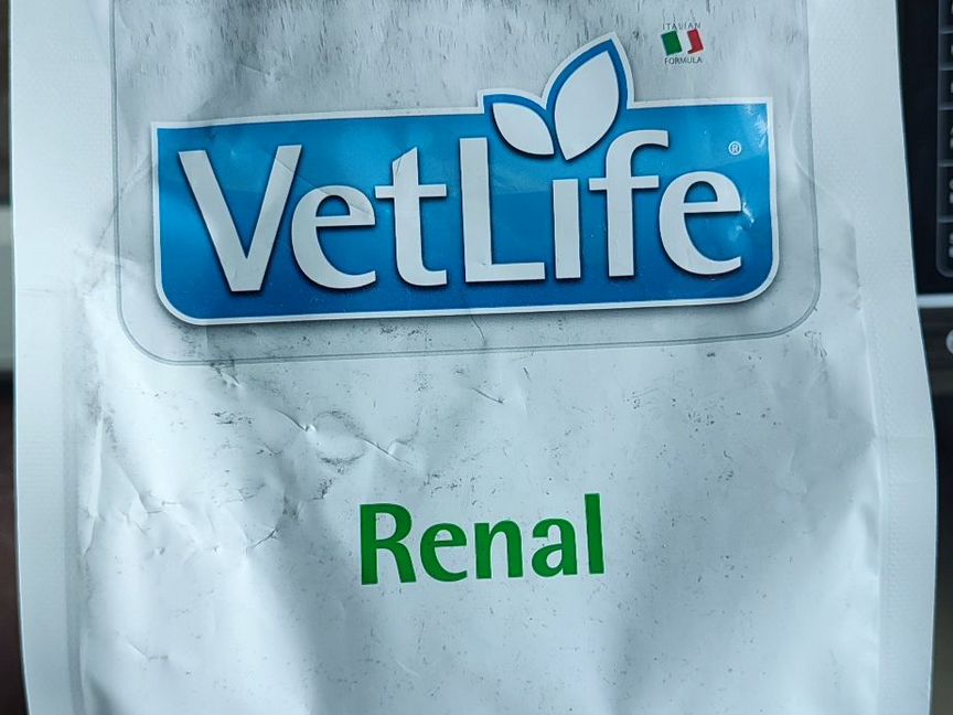 Сухой корм для кошек