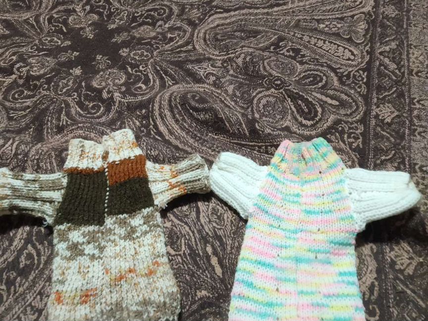 Одежда для котов