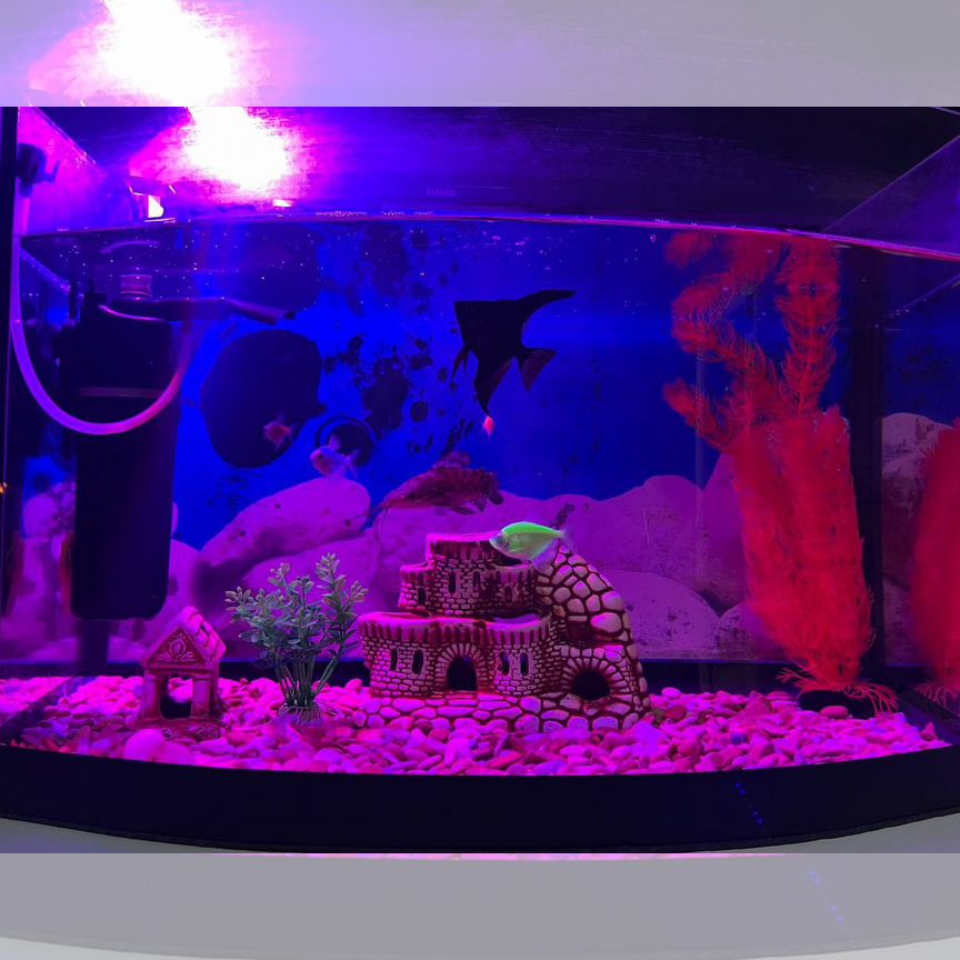 Аквариум на 50 литров