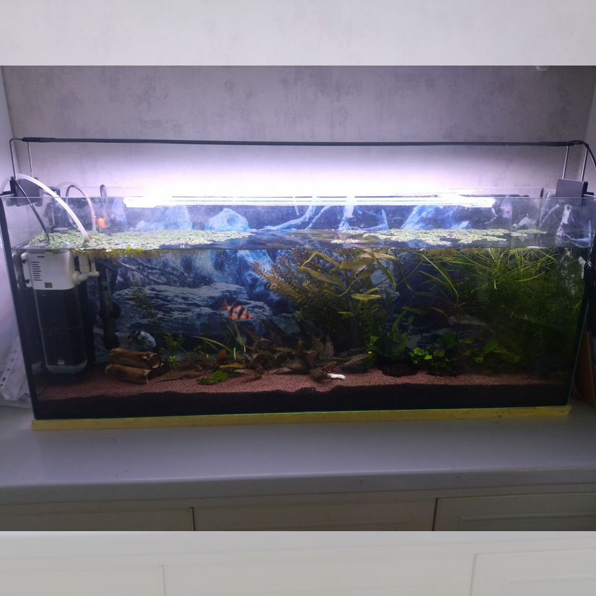 Аквариум 80 литров