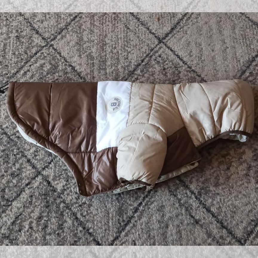 Куртка на французского бульдога