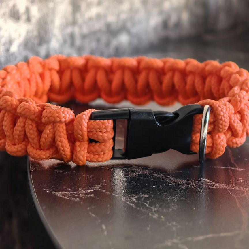 Ошейник для собак