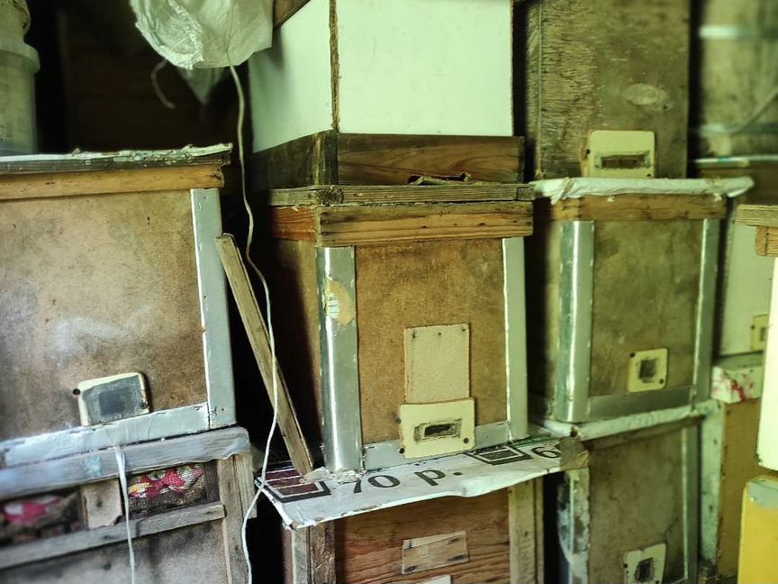 Ловушки для пчел