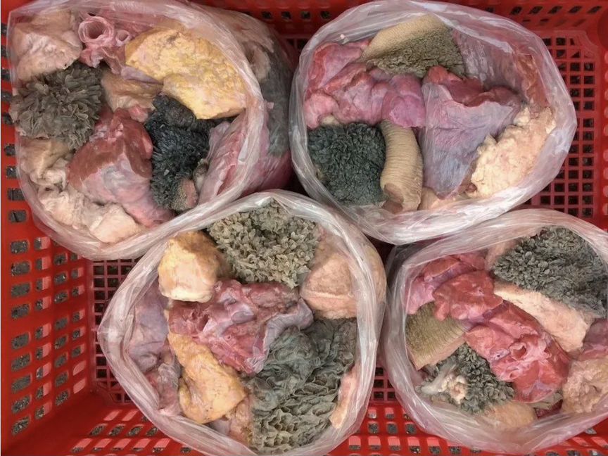 Еда для собак говядина