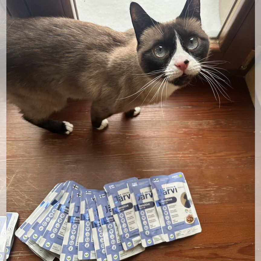 Корм для кошек Jarvi, 14 пакетиков