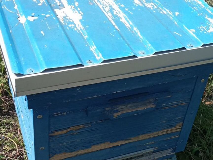 Ульи для пчел