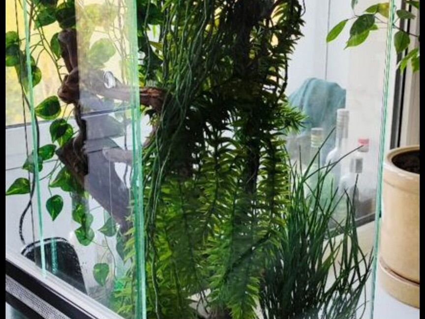 Террариум 50х30х30