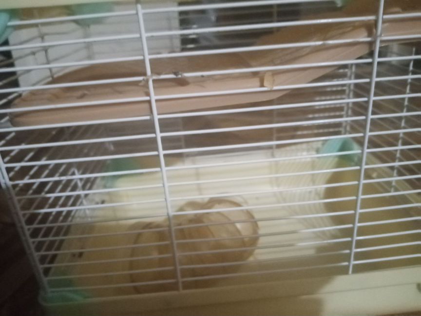 Клетки для мелких животных отдам