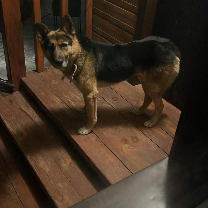 Наб.Челны, сос Гром окажется на улице