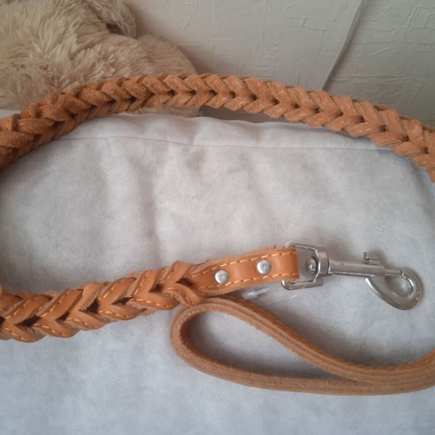 Поводок для собак