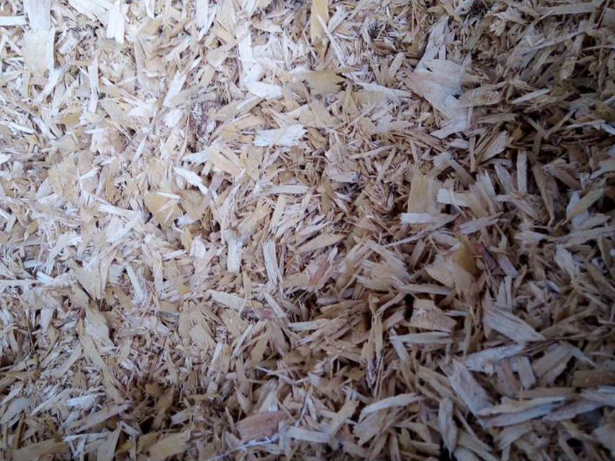 Древесная стружка