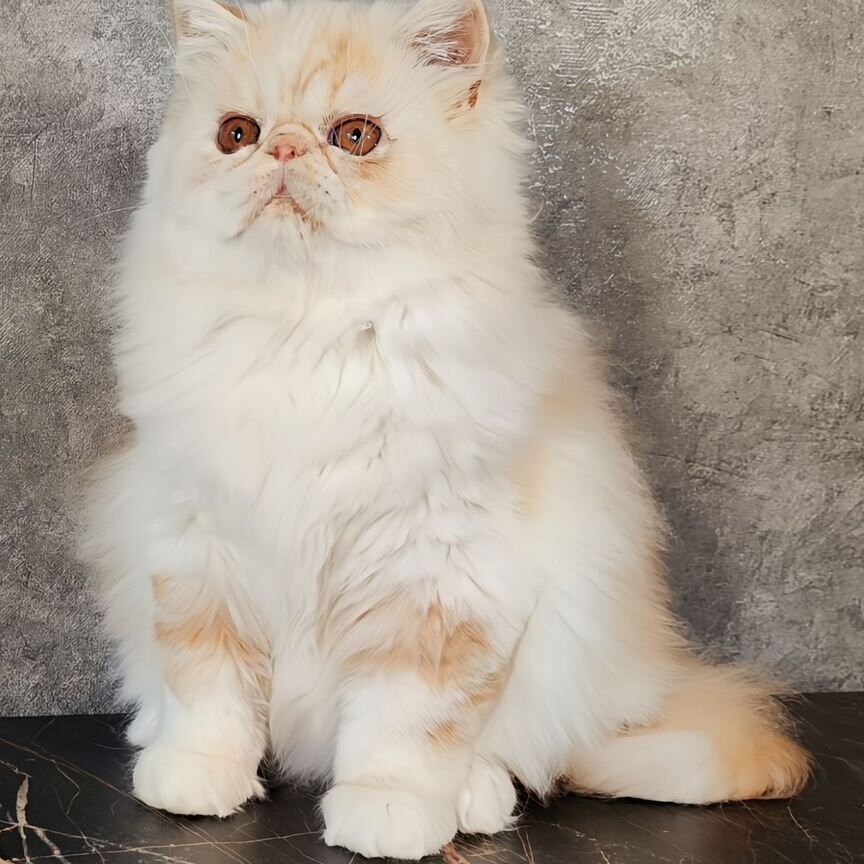 Красавчик Леонардо