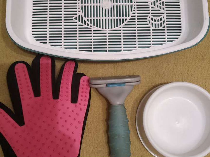 Миска для котят, лоток, чесалка цены разные