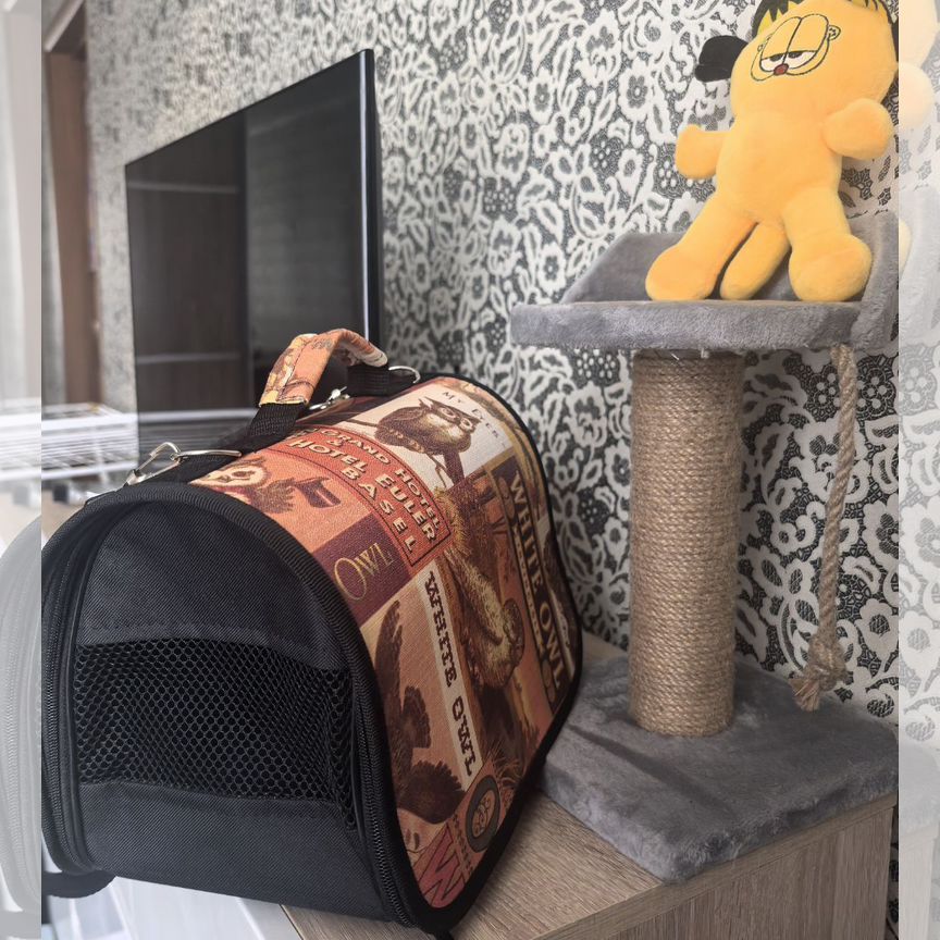 Переноска и когтеточка для котёнка