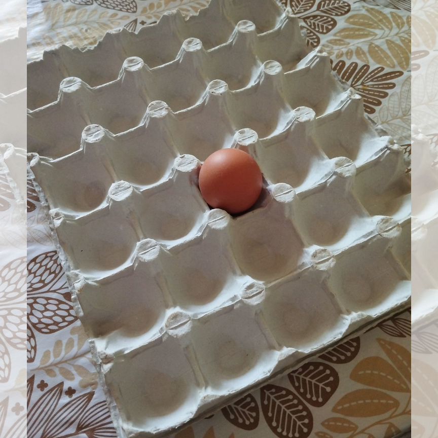 Ячейки 30 ки для яиц