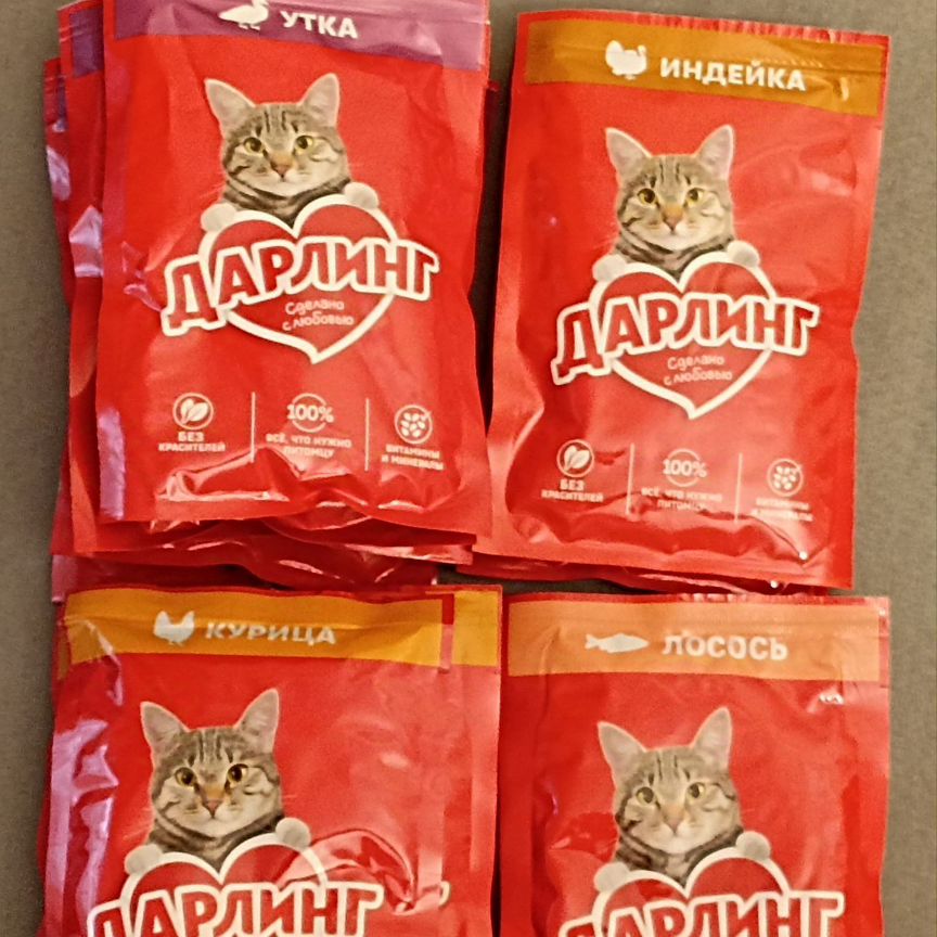 Влажный корм для взрослых кошек